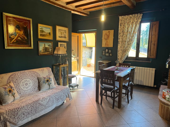 Tipica Casa Toscana Di Campagna - Montalcino