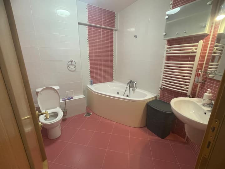 2 Rooms Herastrau Area - Bucarest