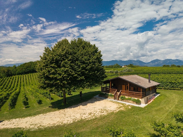 Chalet Nelle Vigne - Conegliano