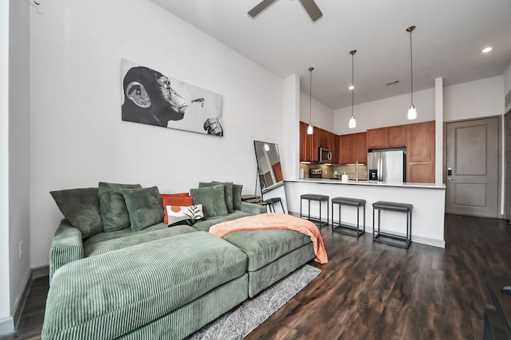 Central Downtwn 1br | Convention Ctr+toyota Ctr| - Fourth Ward - Houston
