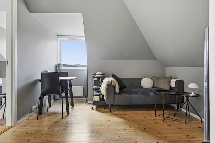 Sentral Leilighet I Bergen Med 2 Soverom - Bergen, Norway