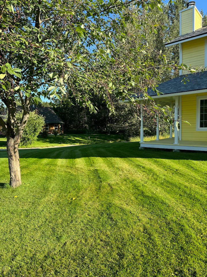 Hidden Palmer Gem On The Way To The Outdoors - Alaska