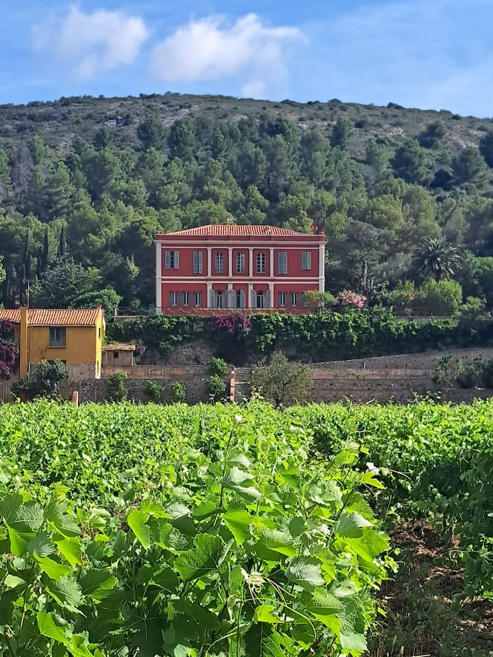 Château Du Xviii Siècle Au Cœur D'un Vignoble - Cucugnan