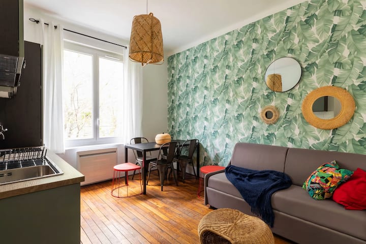 Magnifique Appartement- 2br/6p- Monplaisir - Lyon