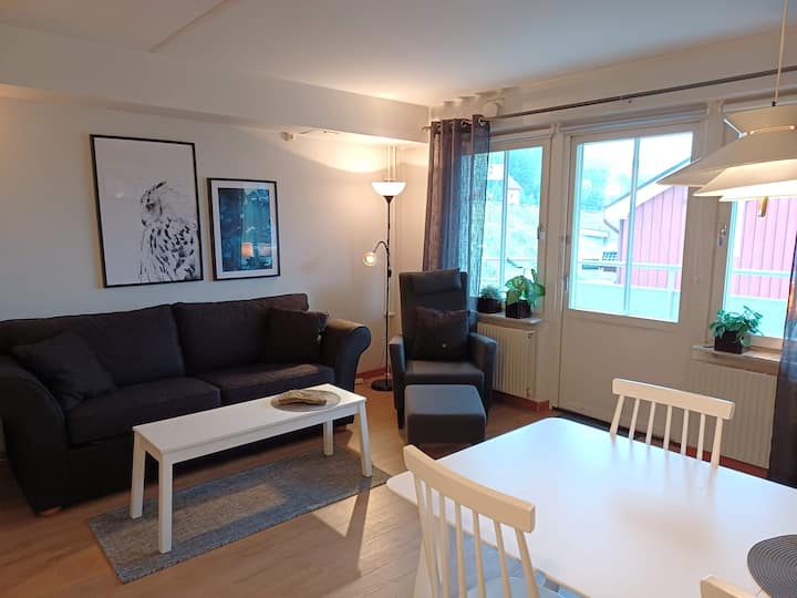 Central Ski-in 1br W/ Free Parking - Åre