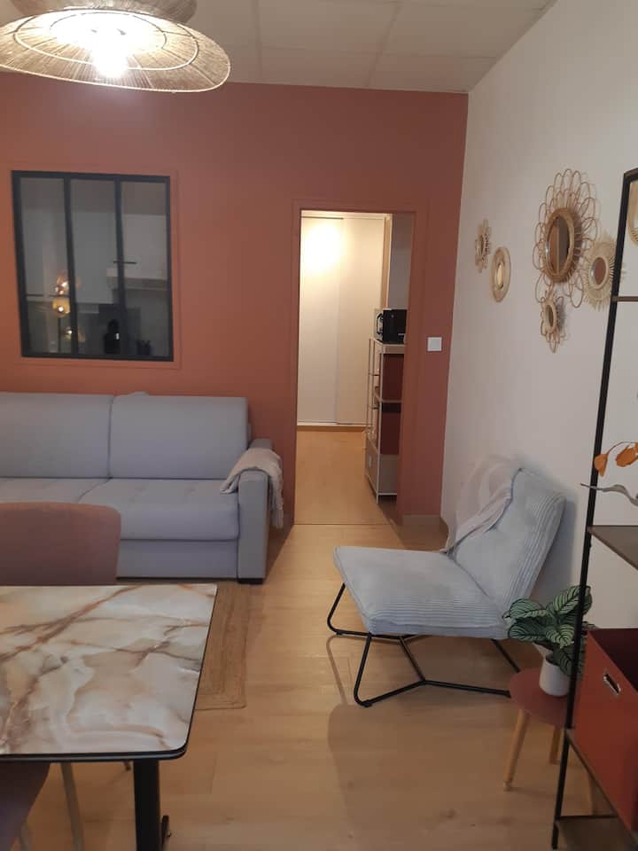 Logement Rénové Centre Ville D'aix Les Bains - Aix-les-Bains