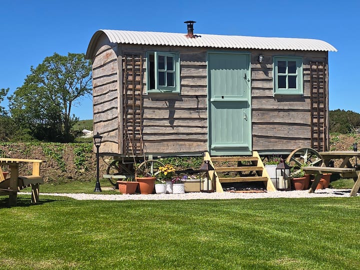 Cwt Bugail - Pwllheli