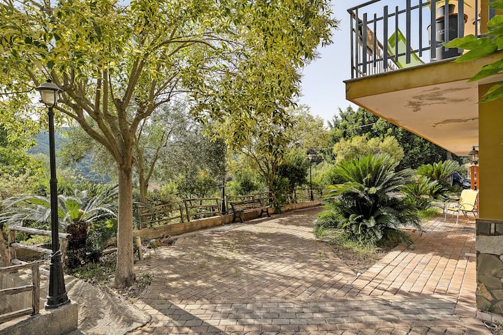 La Grande Quercia, Cilento - Castellabate