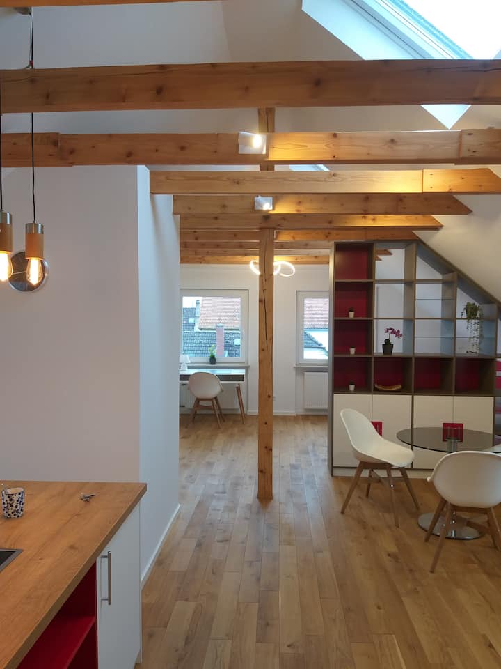 2.5 Room Loft Apartment 60 M2 - Including Parking - Darmstadt