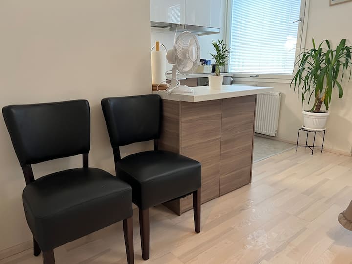 Studio Apartment In Helsinki - Helsinki