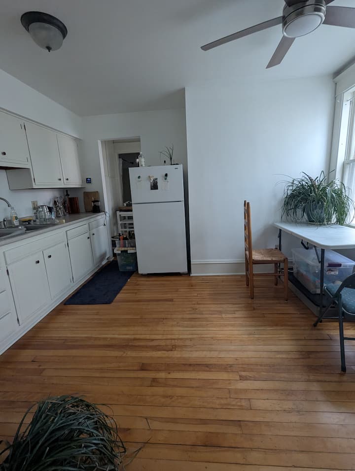 Quiet Apartment 3 Blocks From Church Street! - Burlington, VT