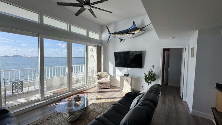 Million Dollar Penthouse Views - St. Petersburg, FL