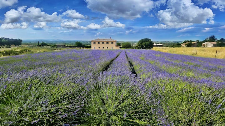 Terre Di Vulci Agriturismo Fiora - Montalto di Castro
