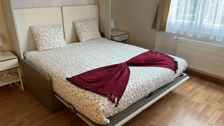 Joli Studio Meublé, Résidence Valentin, Lausanne - Lausanne