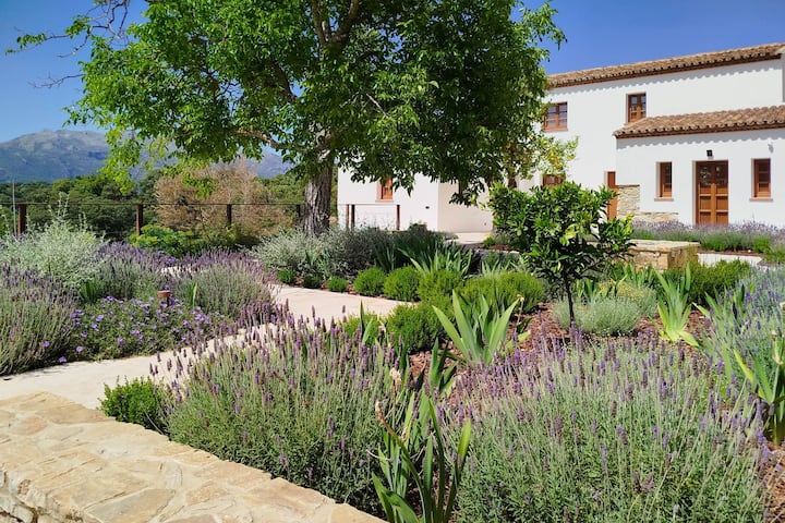 Finca Vegachi - Cortes de la Frontera