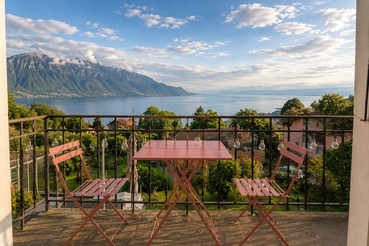 Au-dessus De Montreux Vue Sur Le Lac Et Les Alpes - 蒙特魯