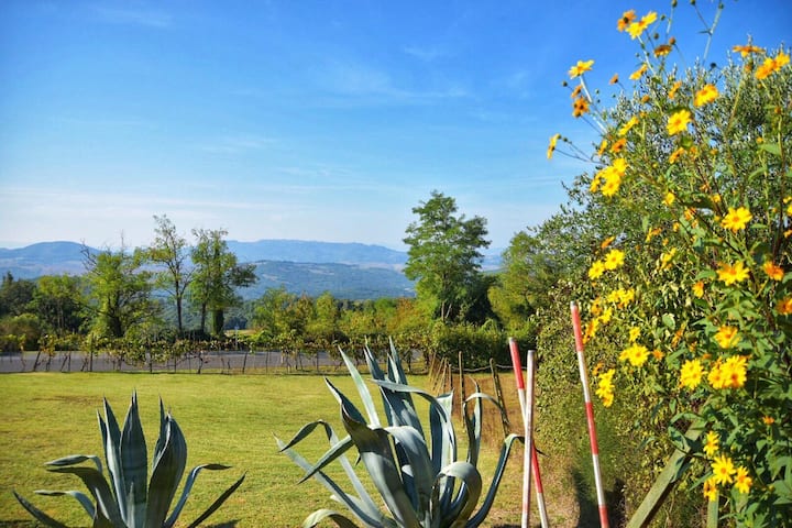 Casa Vacanze Vecchia Osteria - San Gimignano