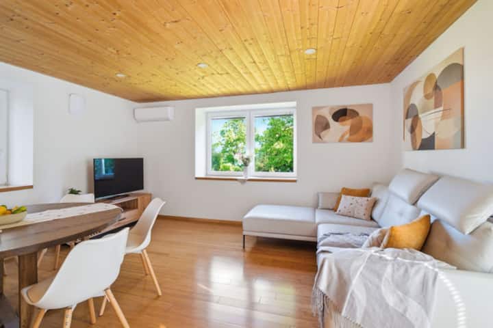 Lakeside Family House Trboje - Vodice, Slovenia