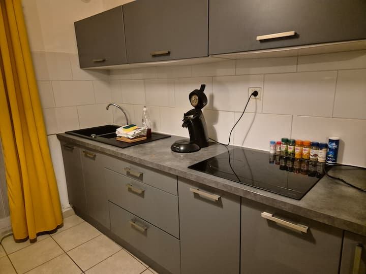 Maison Brest Pour 10 Personnes Avec Jardin - Brest