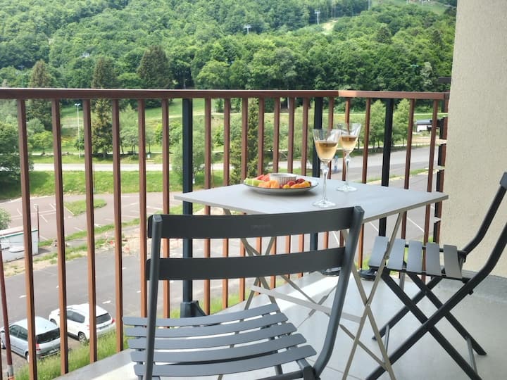 Studio Confortable, 4 Pers, Centre Super Besse - Lac des Hermines