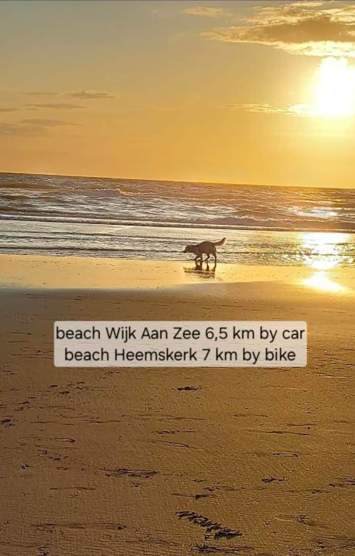 Vakantiehuis Heemskerk Vlakbij Zee - Heemskerk