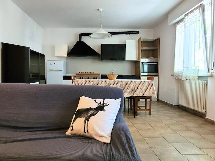 Cn049 – Cesenatico, Two-storey Four-room Apartment - Cesenatico