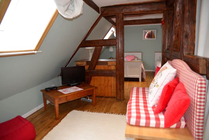 Gîte De Charme - Route Des Vins D'alsace - Kaysersberg