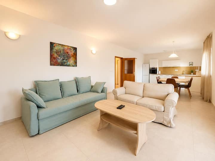 Maris  Spacious 3br Apartment With Large Terrace - Novigrad