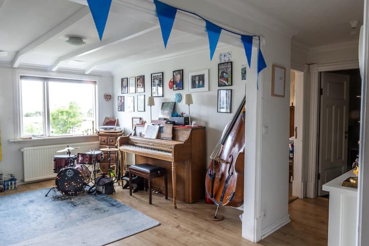 Musician's Attic In Historic Reykjavík - Reykjavík