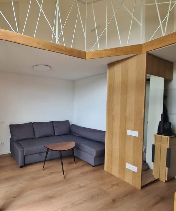 Ljus Lägenhet Med Loft Och Takterrass. Hiss  Finns - Riga