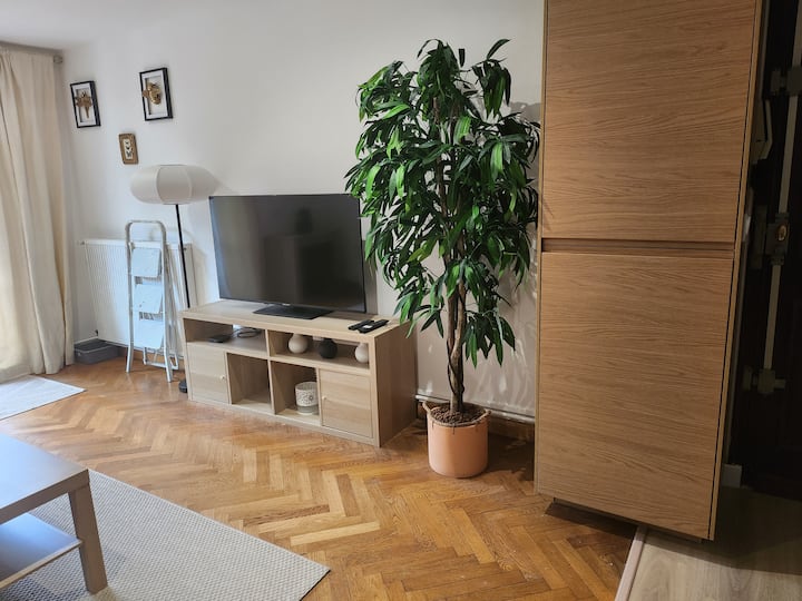 Appartement Type T3 Bron éGlise Proche Transports - Meyzieu