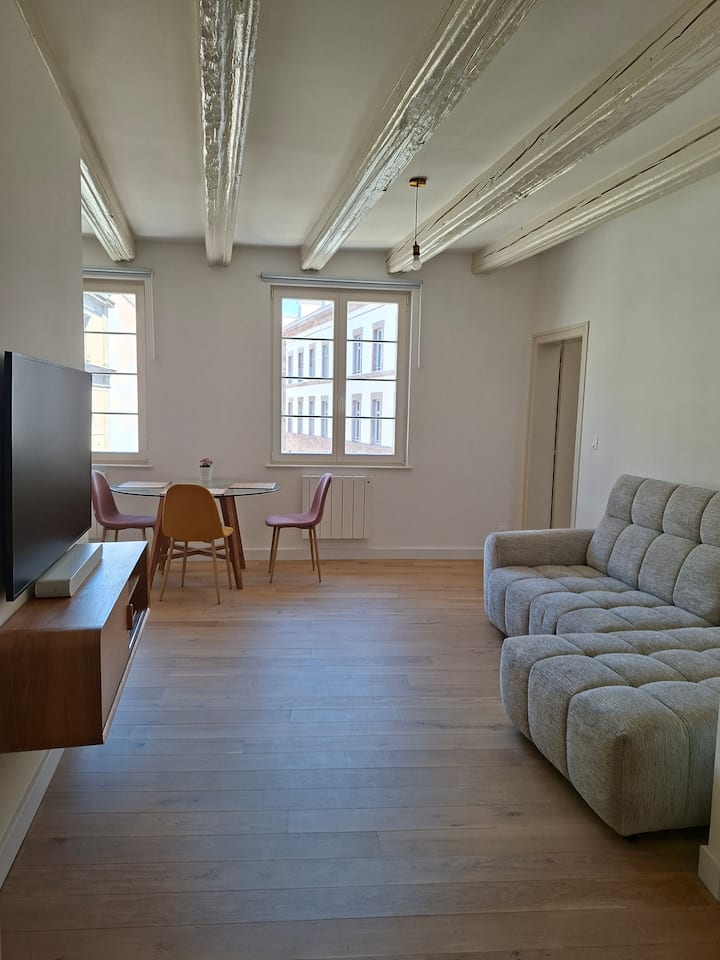 Chambre Confortable En Bordure D'hyper-centre - Strasbourg