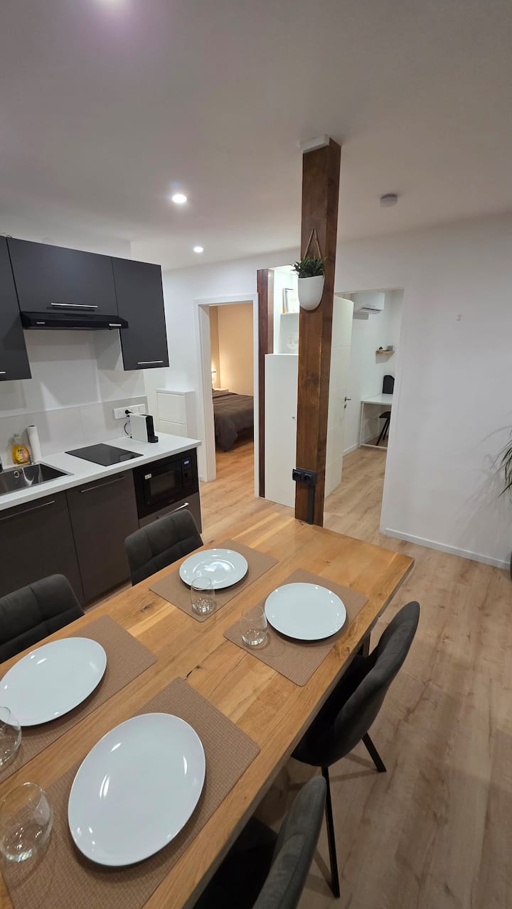 Open Space Avec 2 Chambres | Literie Premium +Clim - Schiltigheim