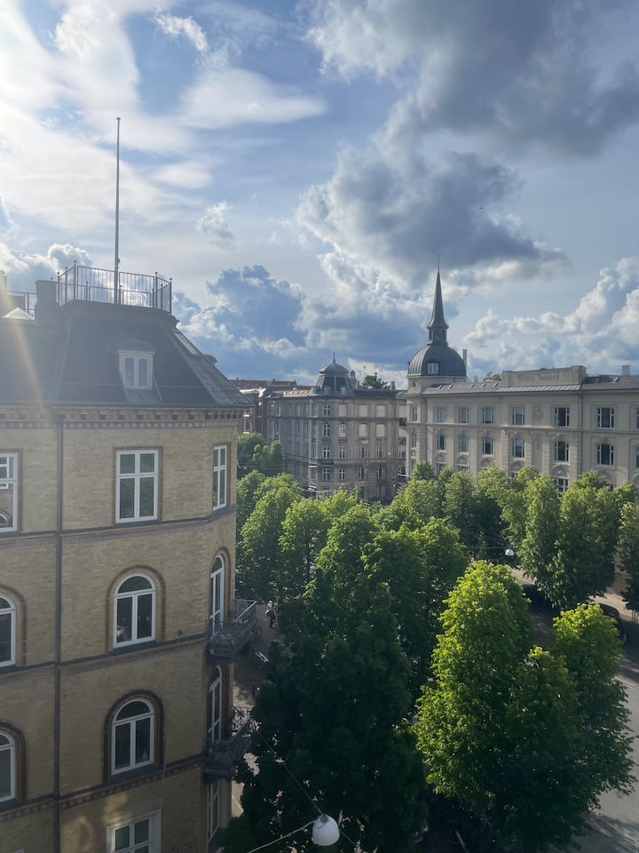 Cosy Apartment On Top Of Frederiksberg Allé, 4 Flo - Copenhague