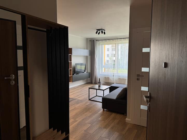 Apartament Lubicka - Torun