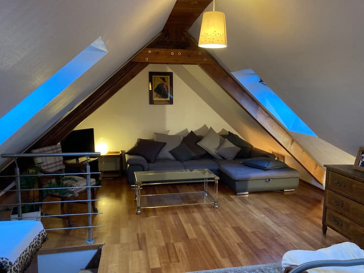 Joli Duplex 4 Pièces, Cuisine 3 Chambres. - Haguenau
