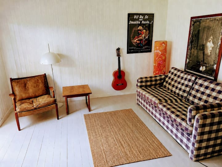 Strandhus, Sauna Og Badebro V. Den Svenske Sydkyst - Trelleborg