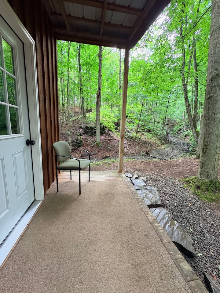 Creekside Cabin - Watkins Glen, NY