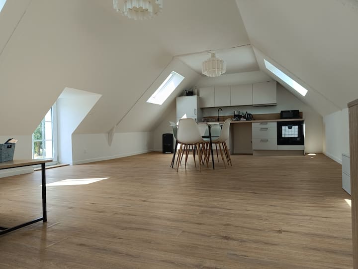 Appartement T3 Duplex Rénové à 1 Min De Saint-malo - Saint-Malo