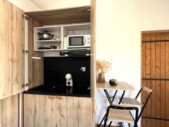 Studio Cosy Avec Balnéo Et Climatisation - Albi