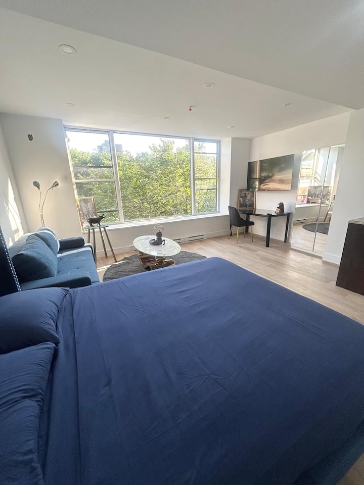 Downtown Hotel Suite In The Plateau 201 - Montreal