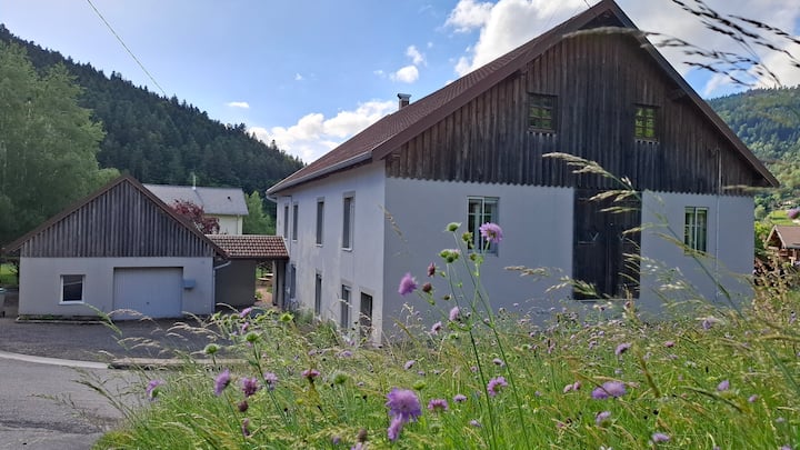 Gîte Des Crêtes - Bussang