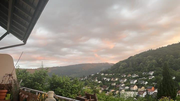 Ruhige, Zentrale Oase In Der Natur - Heidelberg