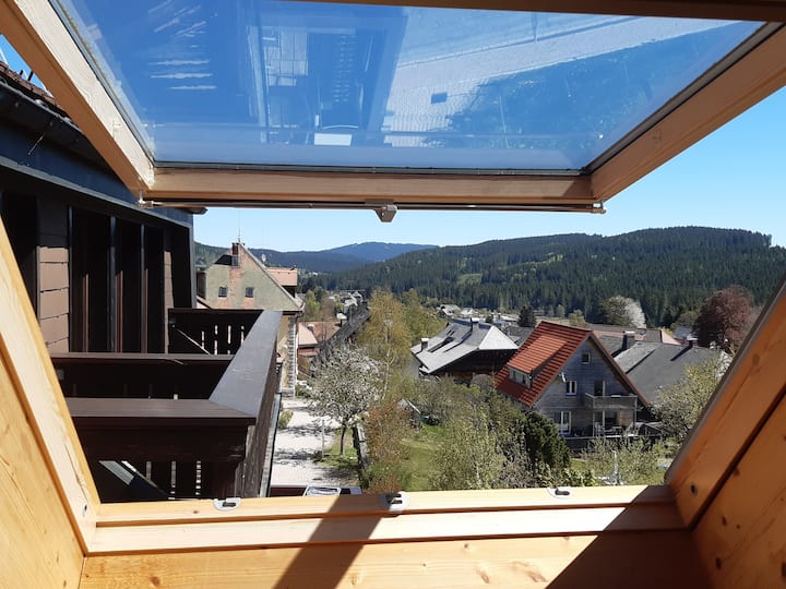 Kopffrei Auf 1000 M Wohnung 2 - Feldberg