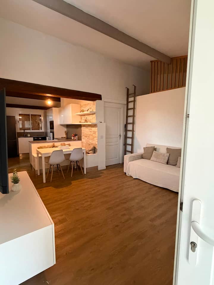 Grasse Cottage Centifolia - Grasse