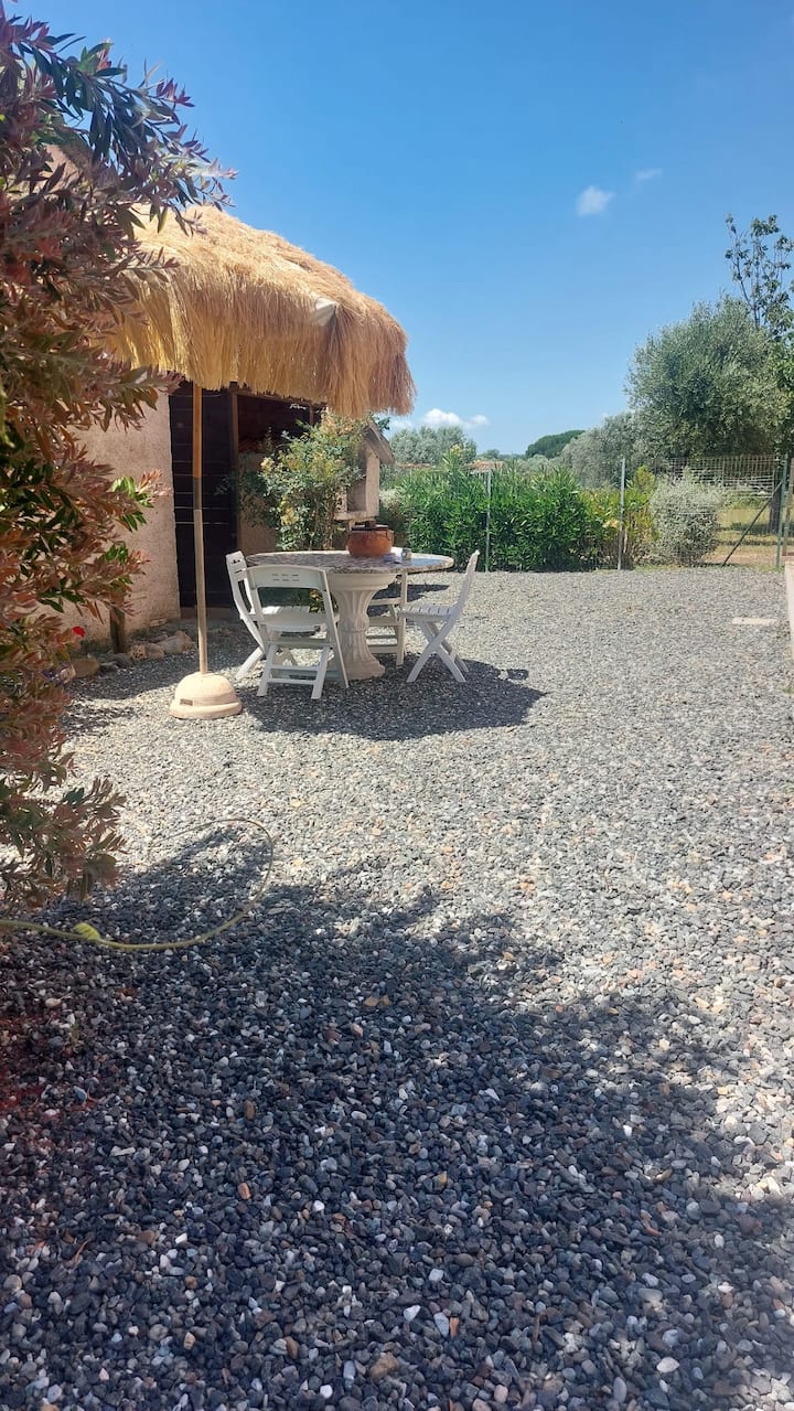 Casa Il Mandorlo 9 - Cecina