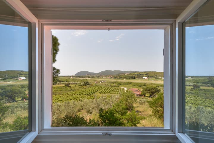 Villa Poggio Della Galea - Marina di Campo