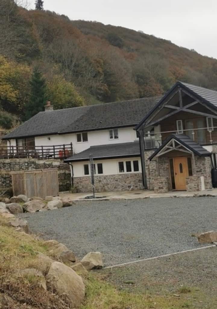 Little Valley Farm (Sunflower King) - Rhayader