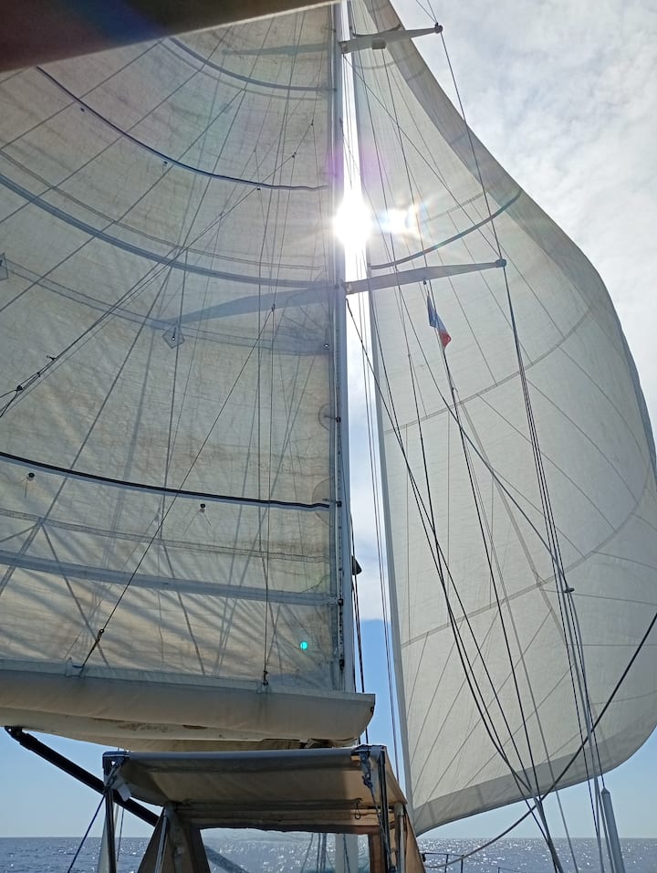 Segeln, Wohnen Auf Sportlicher Yacht Mit Skipper. - Île de Porquerolles