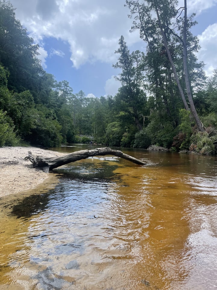 Riverfront Gem | Boat Ramp | Parks Trails Springs - Milton, FL